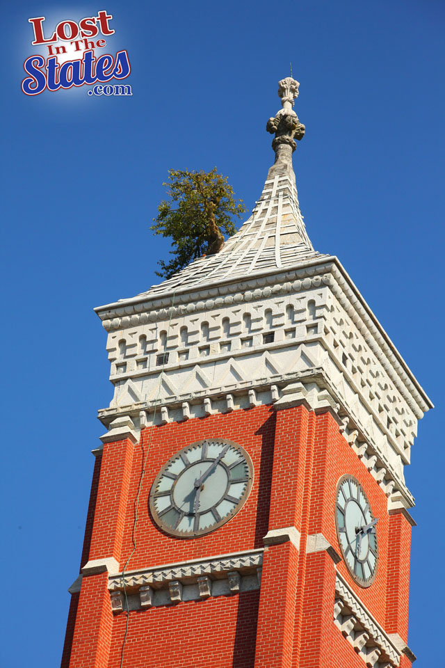 The Tower Tree - Lost In The States