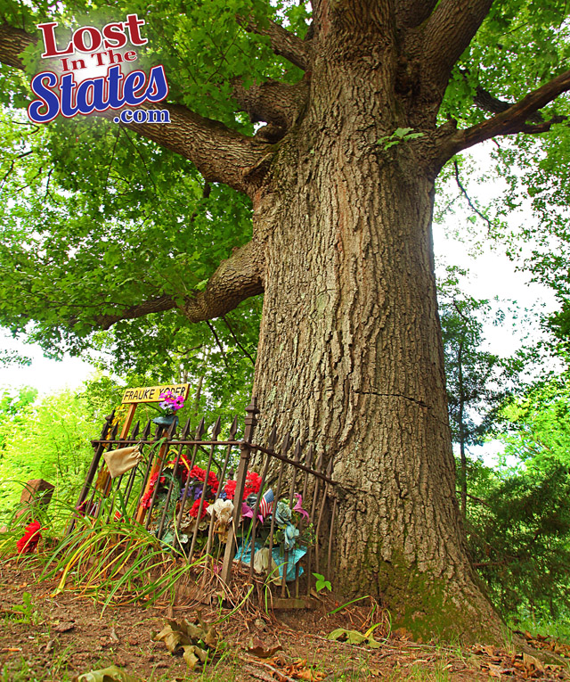A Cemetery, A Witch and an Oak Tree - Lost In The States