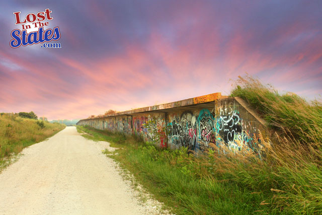 Camp Ellis - Lost In The States