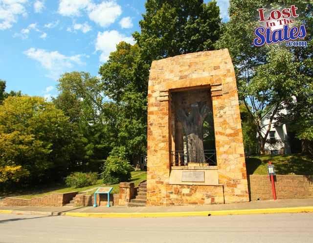 The Old Tree Stump in Indiana - Lost In The States